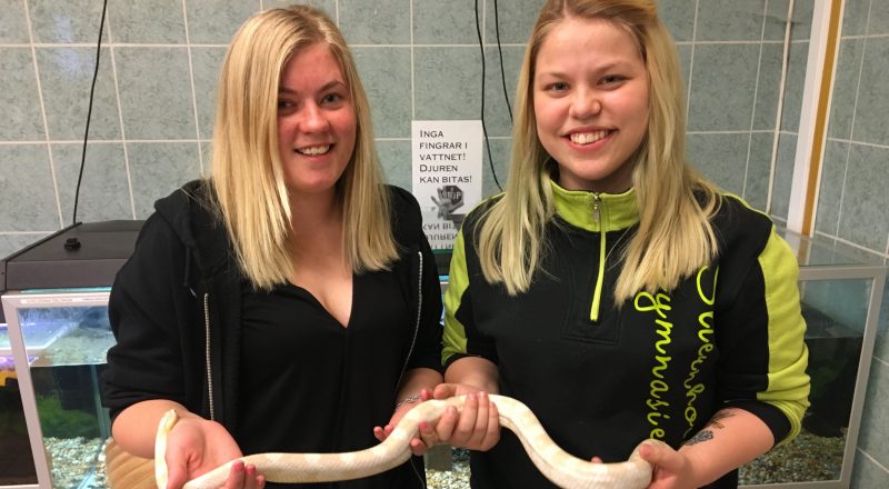 Silver till Rättvik - Siljan News