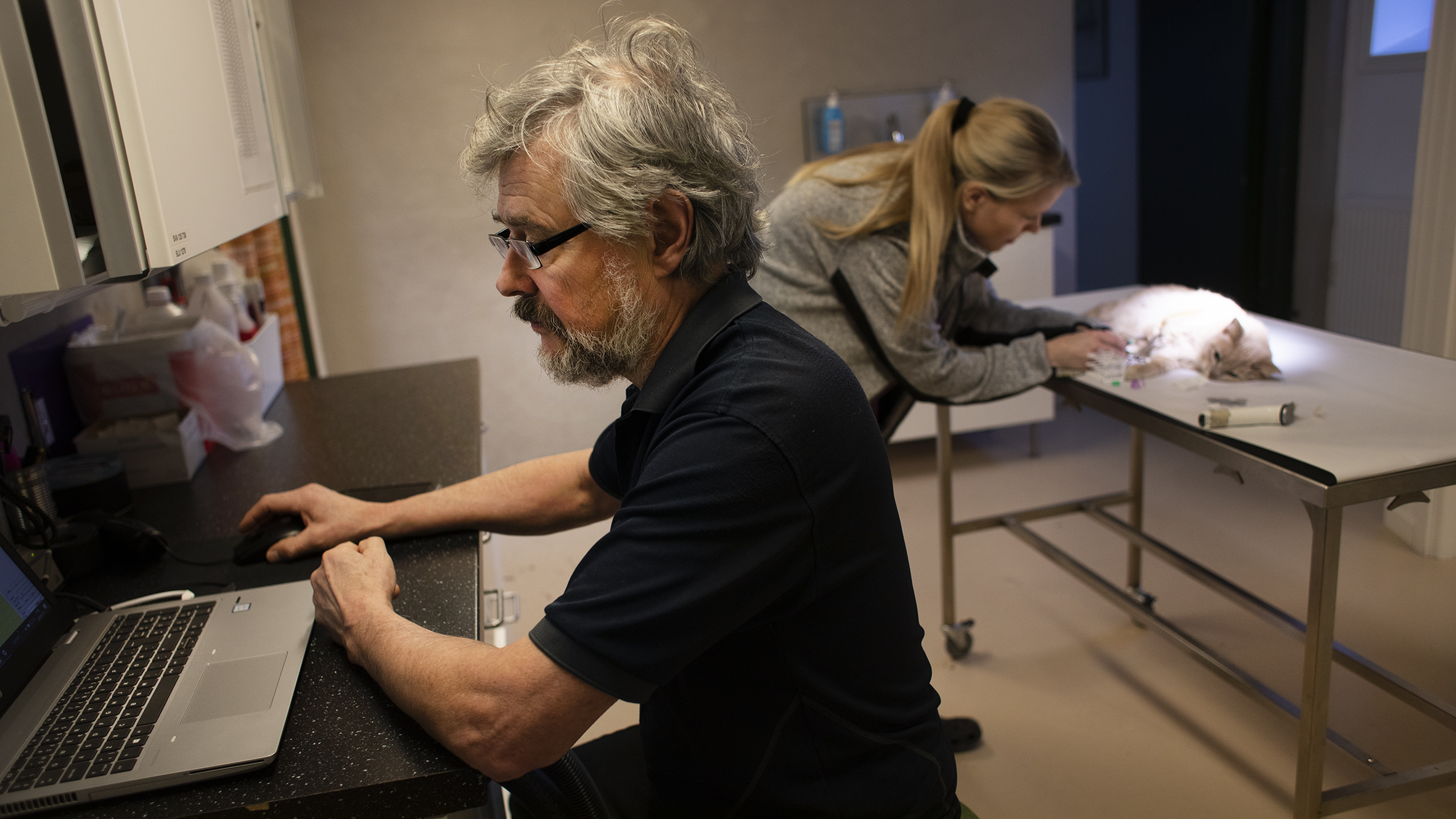 GK´s hjälper tusentals fyrbenta - Siljan News