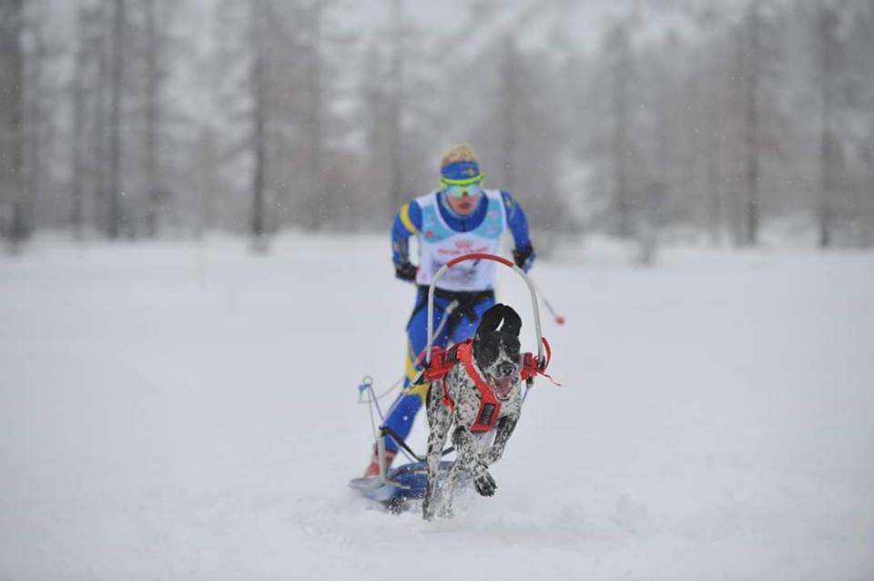 VM-brons till Jessica och Zelma - Siljan News