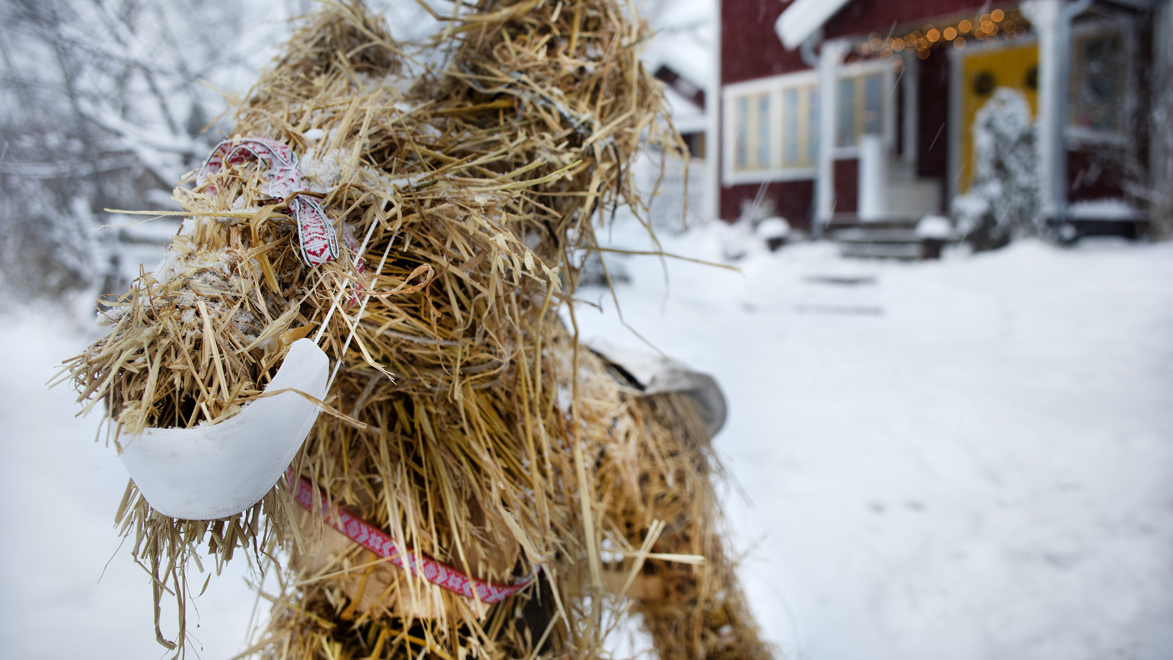 Julbocken står för dörren - Siljan News