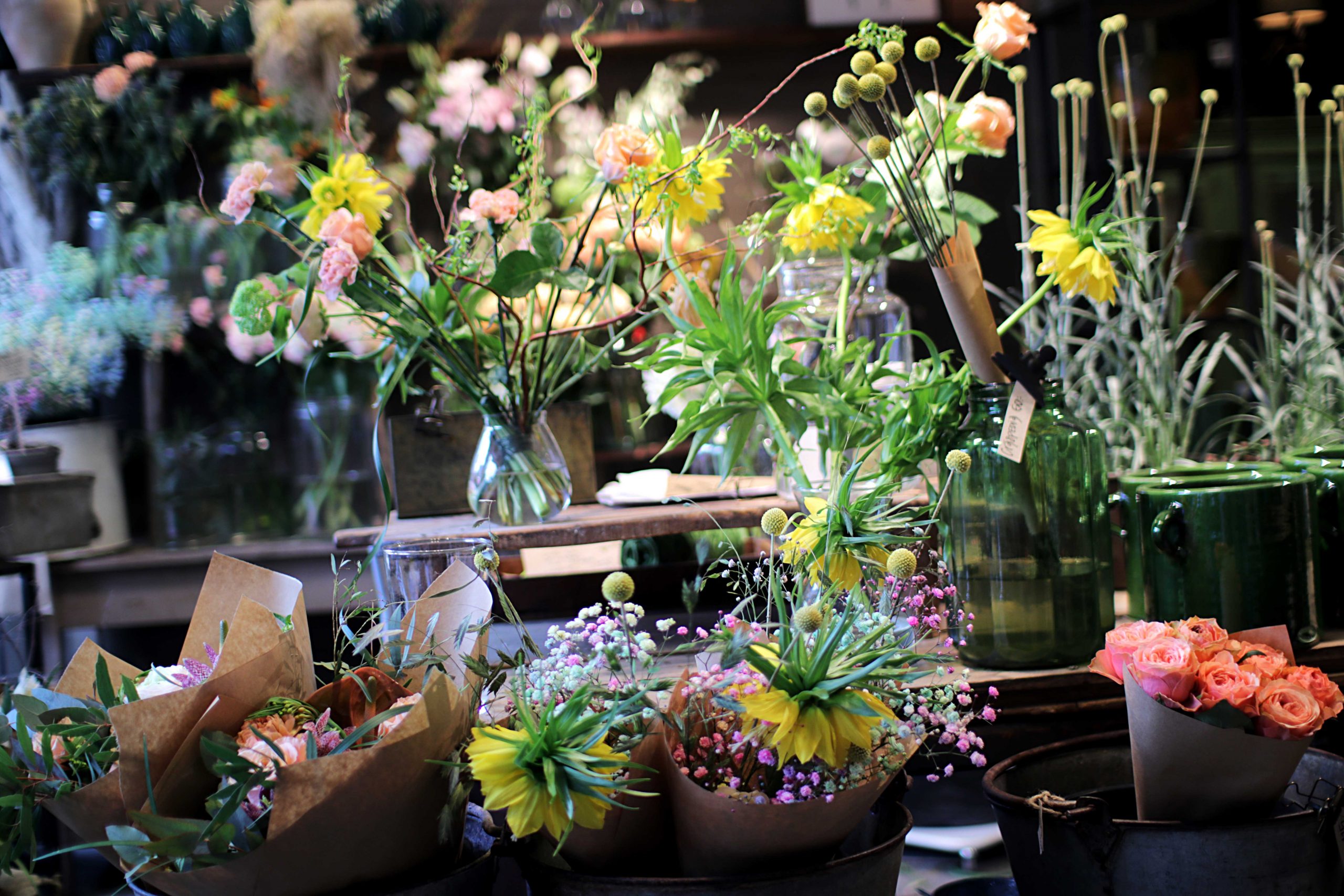 Populär grön gumma i ny, större lokal - Siljan News