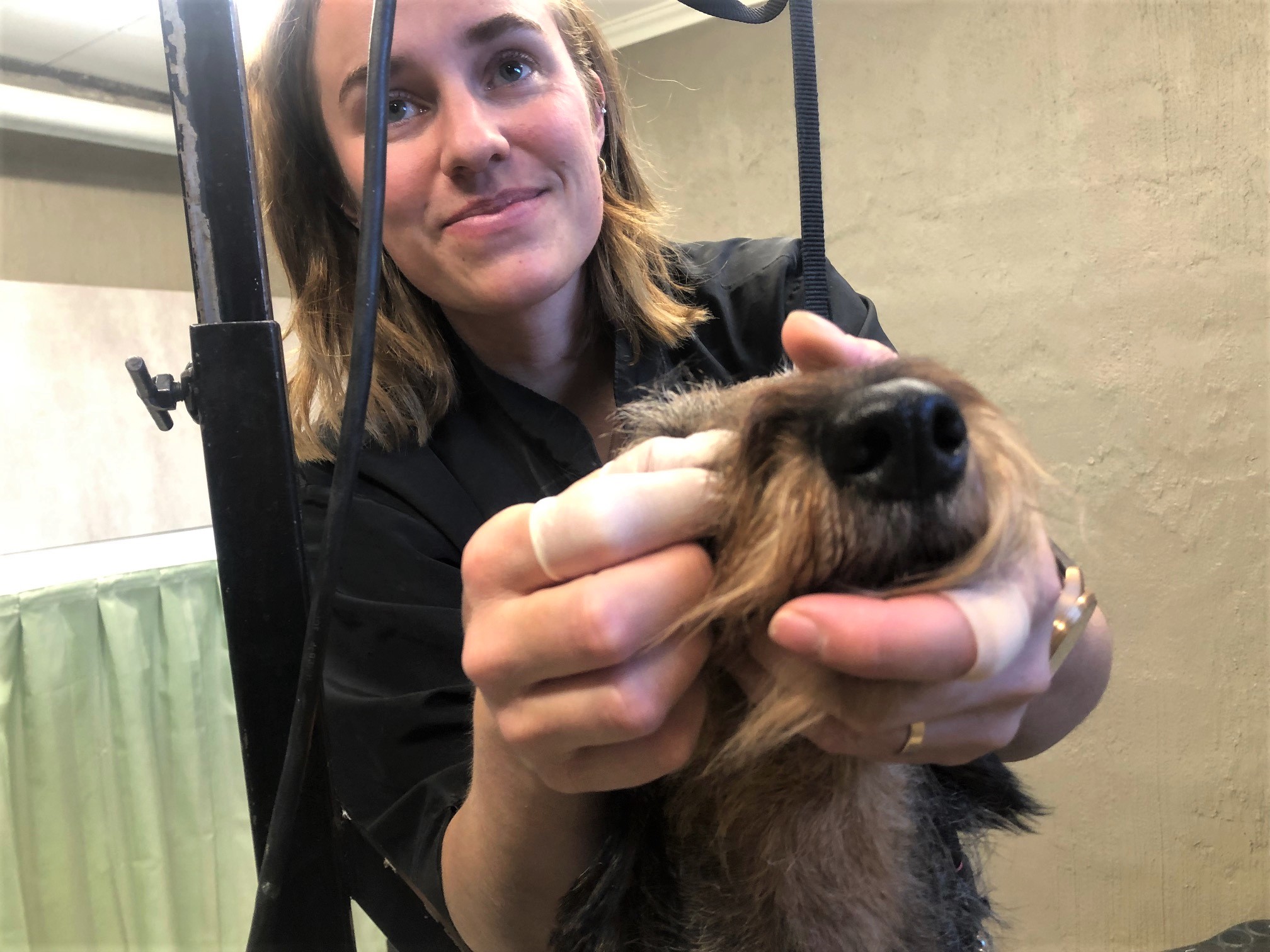 Tant Gröns hundtrim har slagit upp portarna - Siljan News