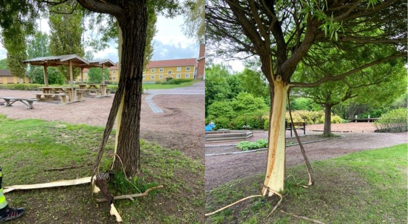 ”Blir arg, ledsen och fundersam” - Siljan News