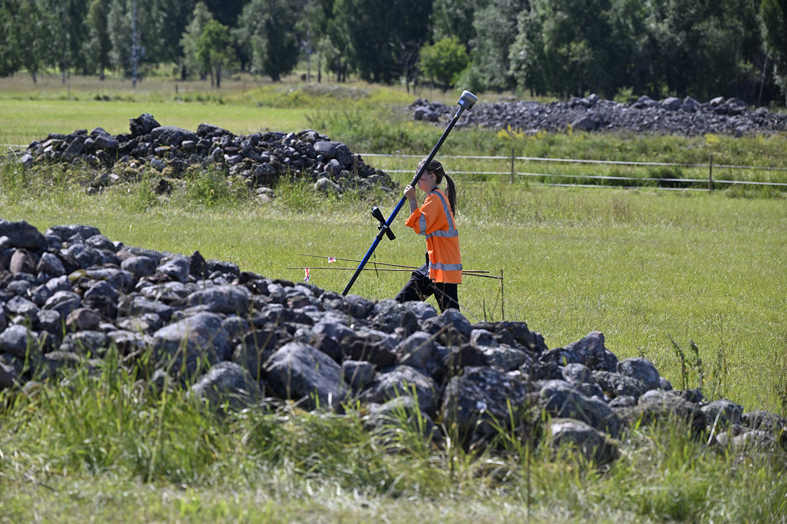Vikingagravfältets hemligheter på väg att avslöjas – markradar hjälper arkeologer - Siljan News