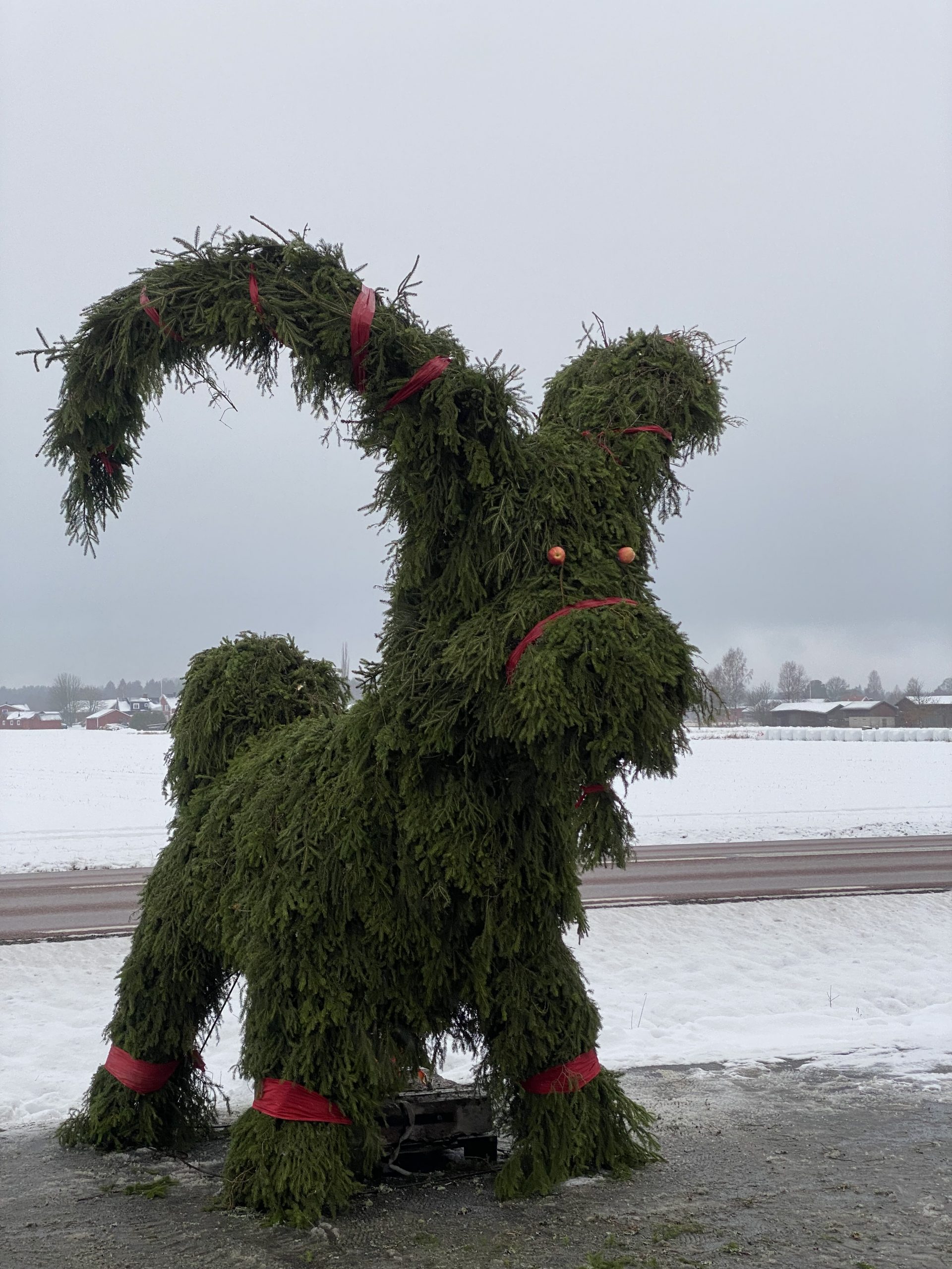 Julbocken i Äppelbo kläddes med gemensamma krafter - Siljan News