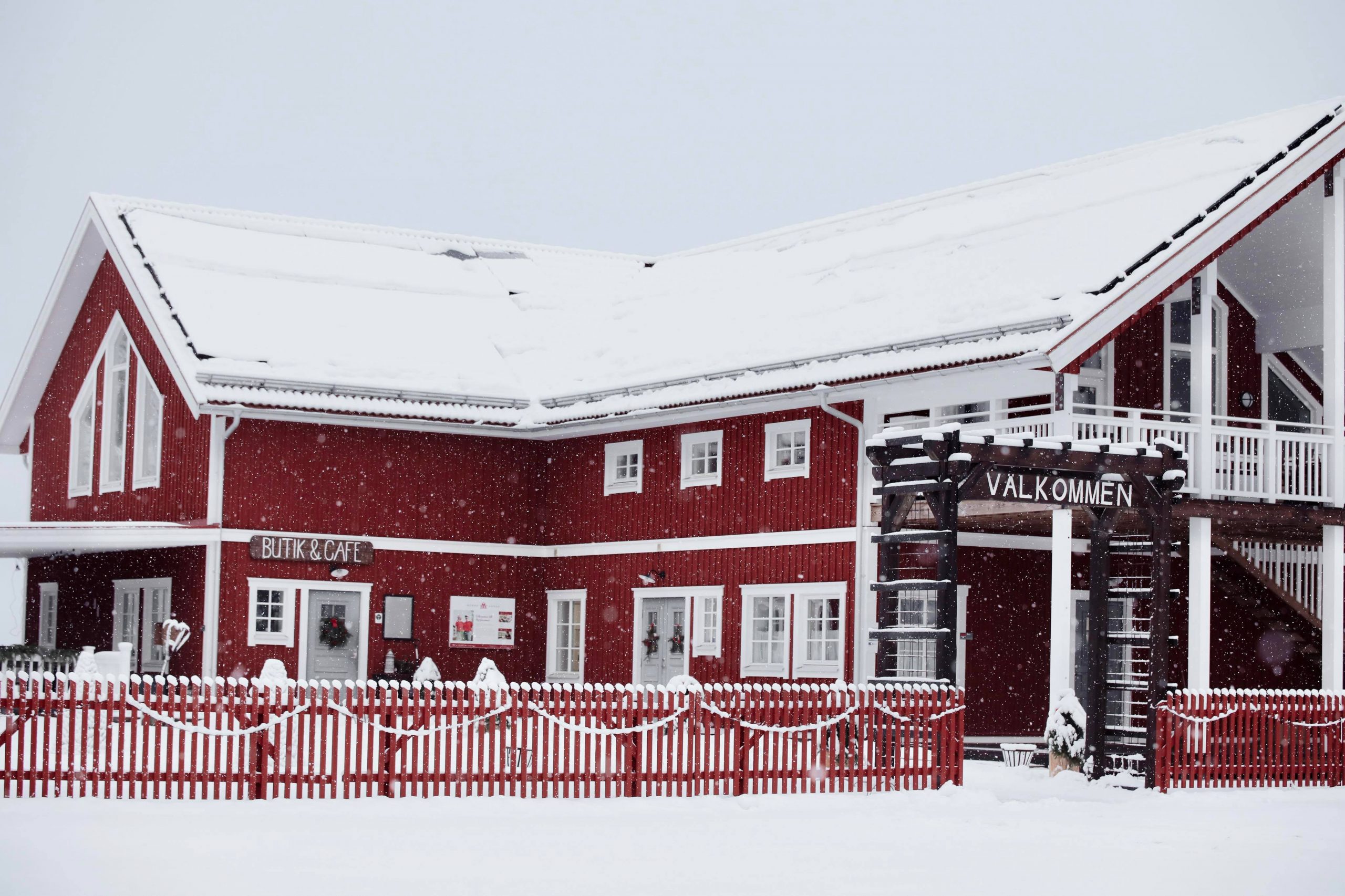 Murboannas har fått ny prisbelönt mejerist – från andra sidan ...
