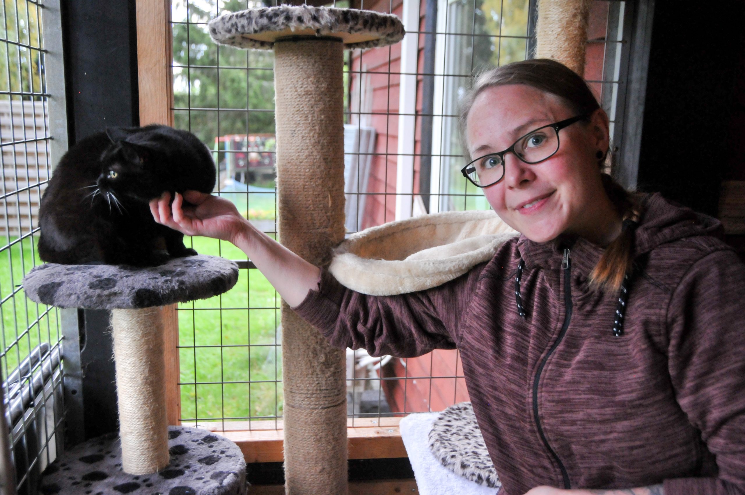 Dumpade katter - ett problem: "Folk ångrar sig" - Siljan News