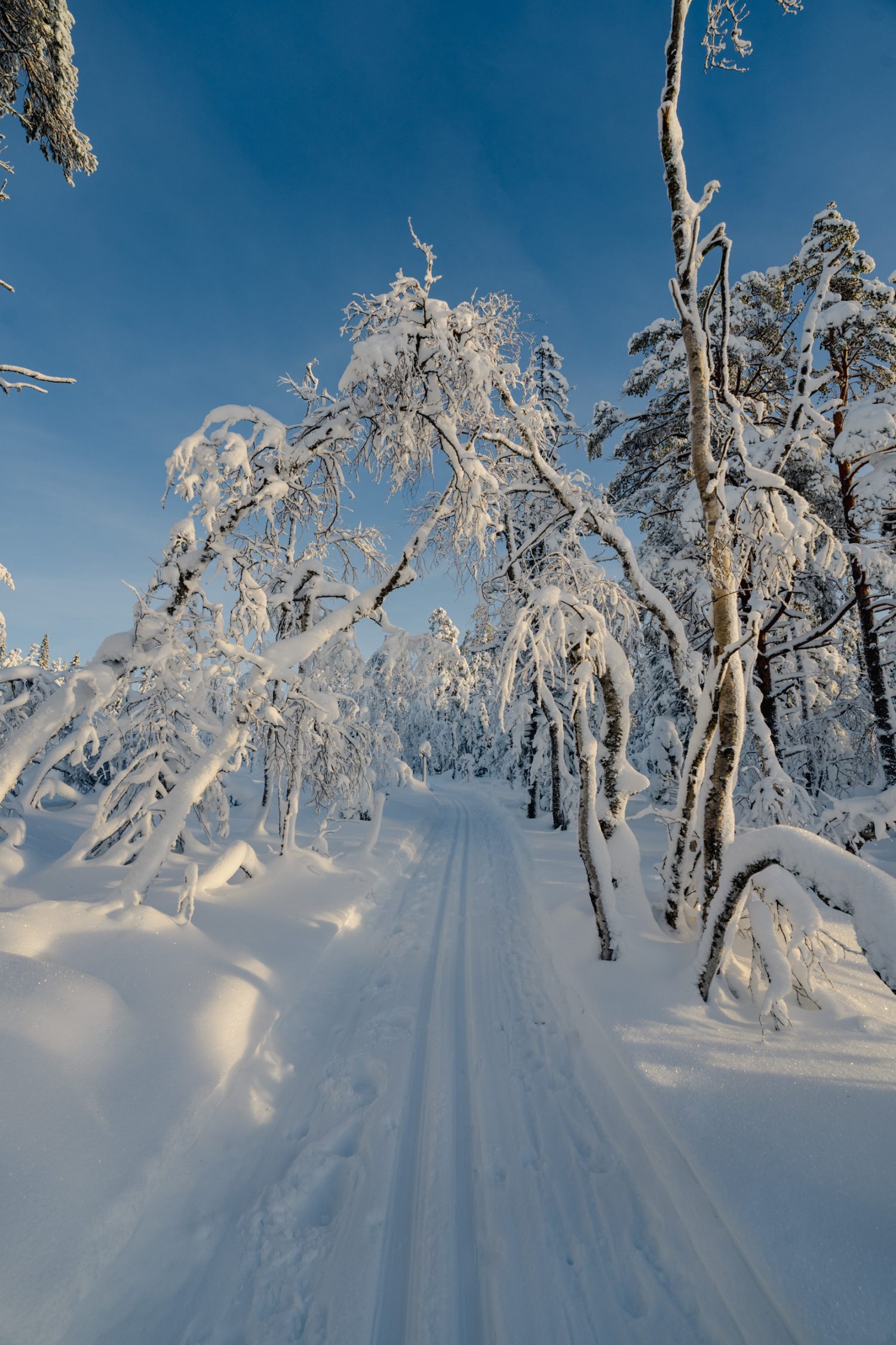 "Det här skapar en gemensam stolthet och glädje" - Siljan News
