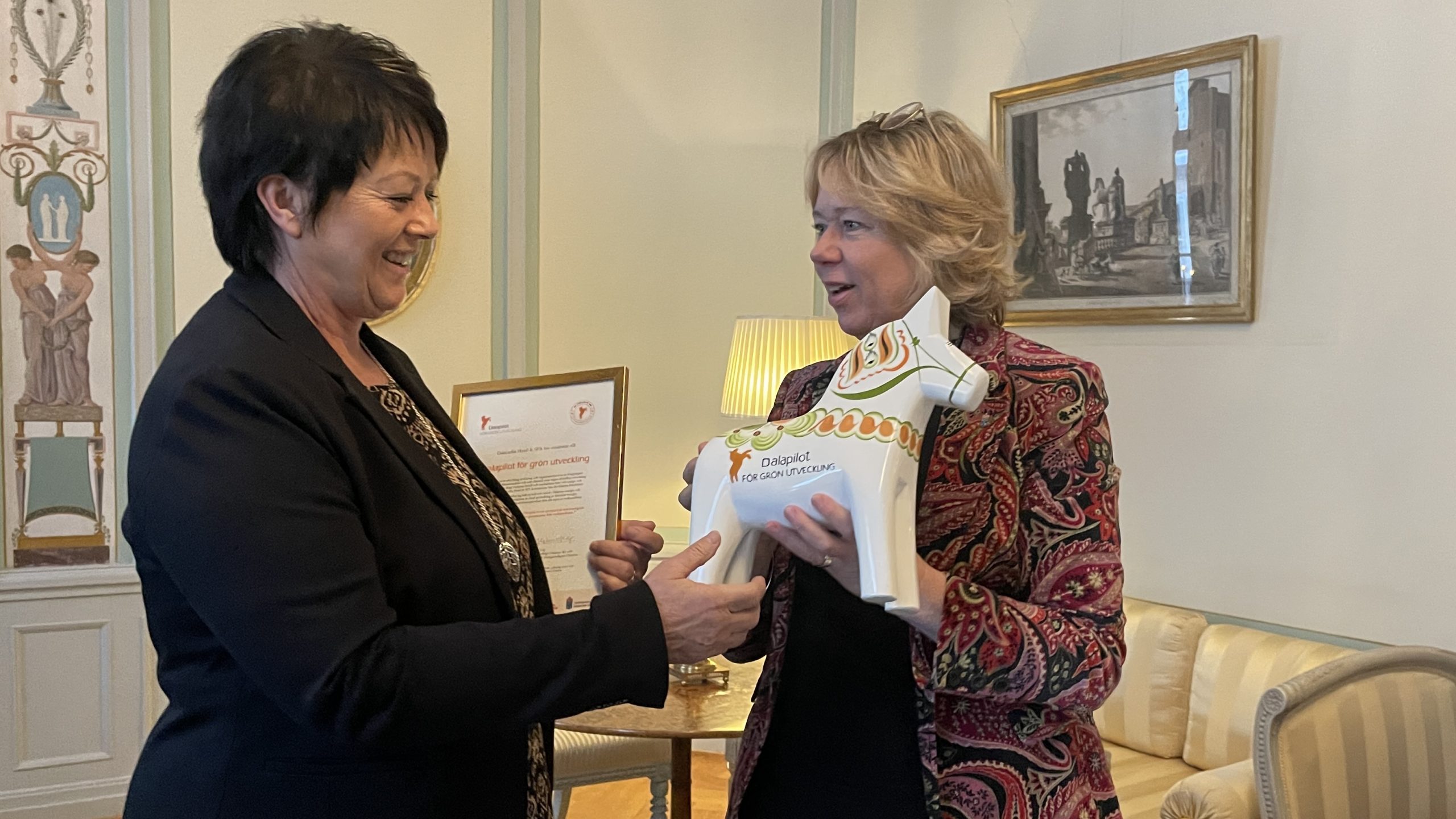 "Det är fantastisk hedrande att få en utmärkelse" - Siljan News