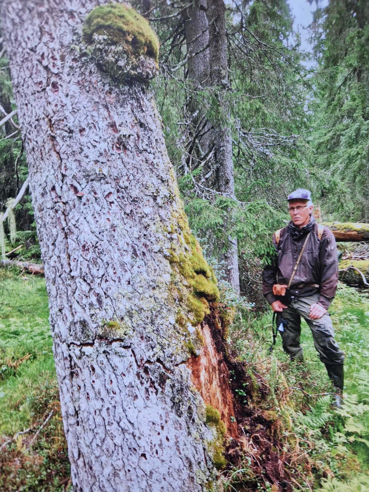 "Det här är en unik bok" - Siljan News