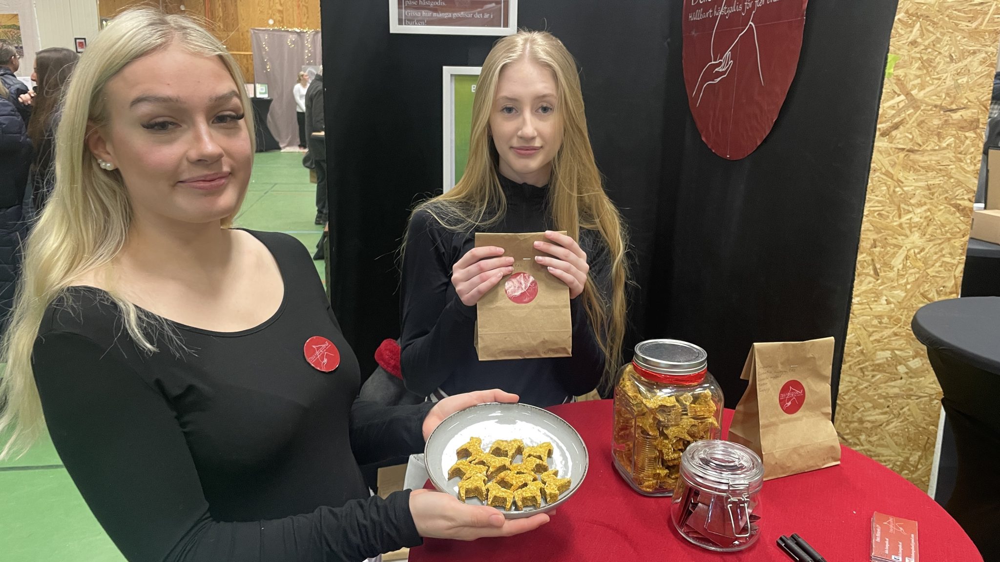 Produkter med dalaanknytning och en innovation gick hem på Årets UF ...