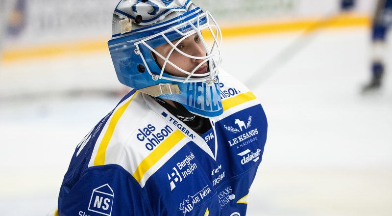 Doldisen som tar över efter Filip: ”Det var 11 500 varje match i två år ...