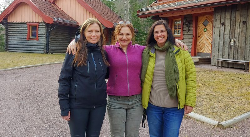 Stugbyn ska locka fler till sagolandet: ”Förutsättningarna finns ...