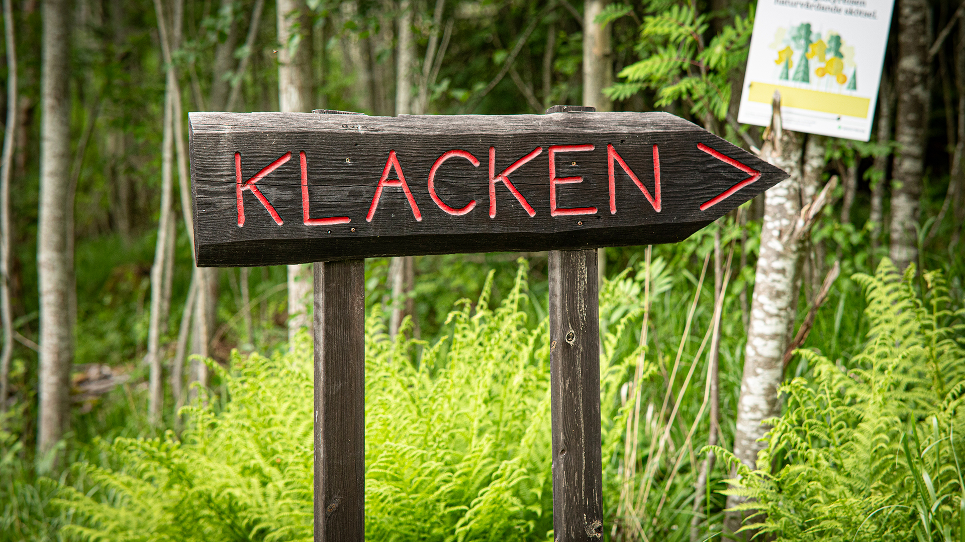 En stentron ristad i höjden över skog och sjö – Familjeutflykten del 3 ...