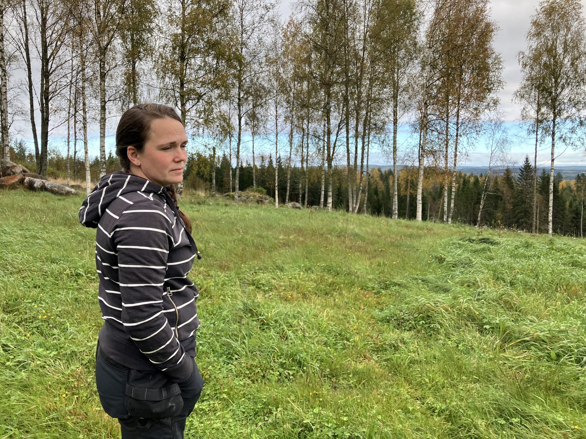 Kristina oroad över vindkraftsplaner: "handlar inte bara om några ...